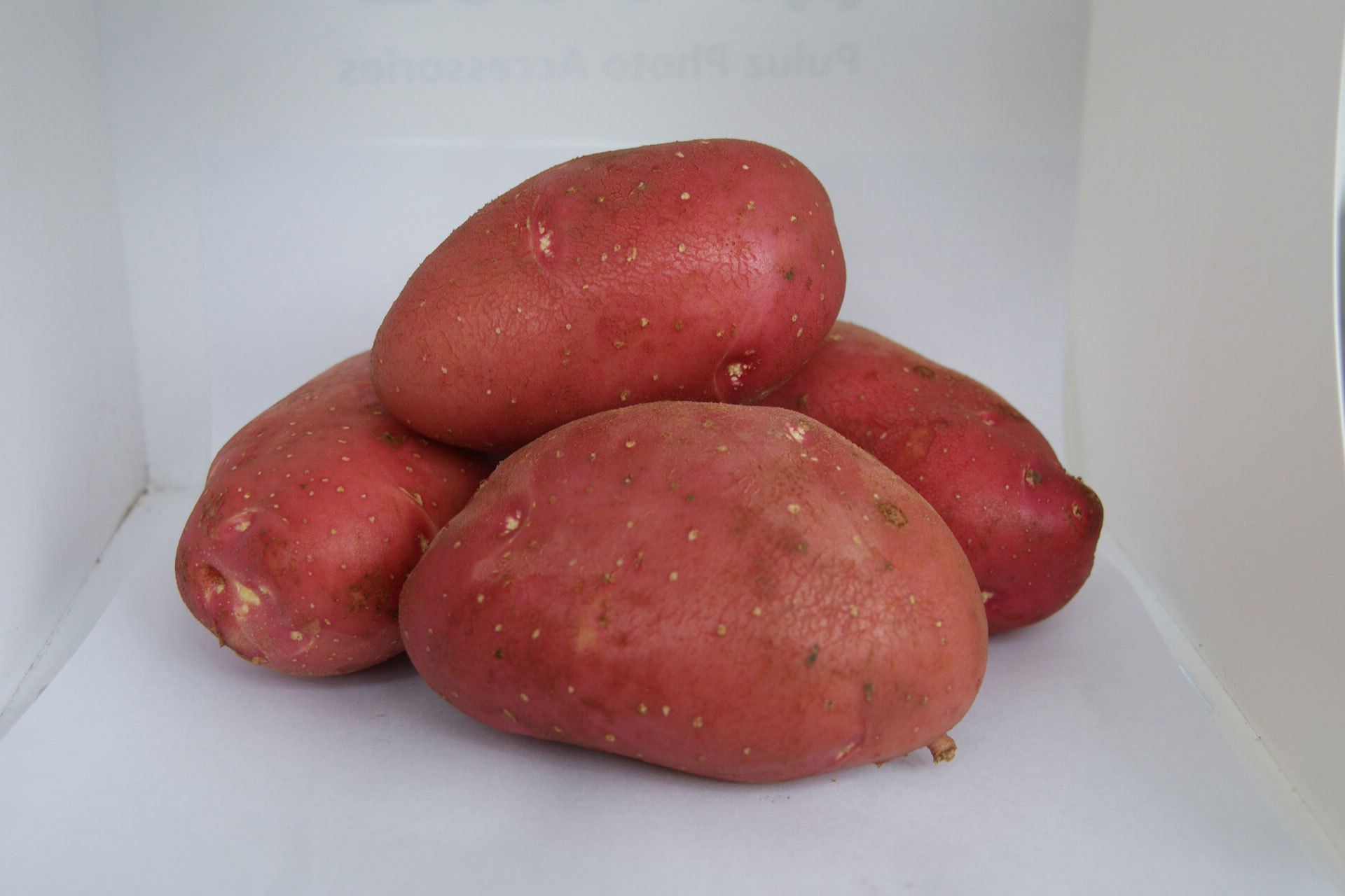 An overview of our potato varieties | ZAP
