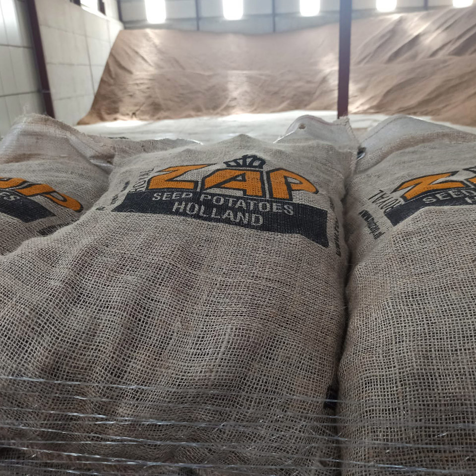 Your partner in seed potatoes | ZAP BV